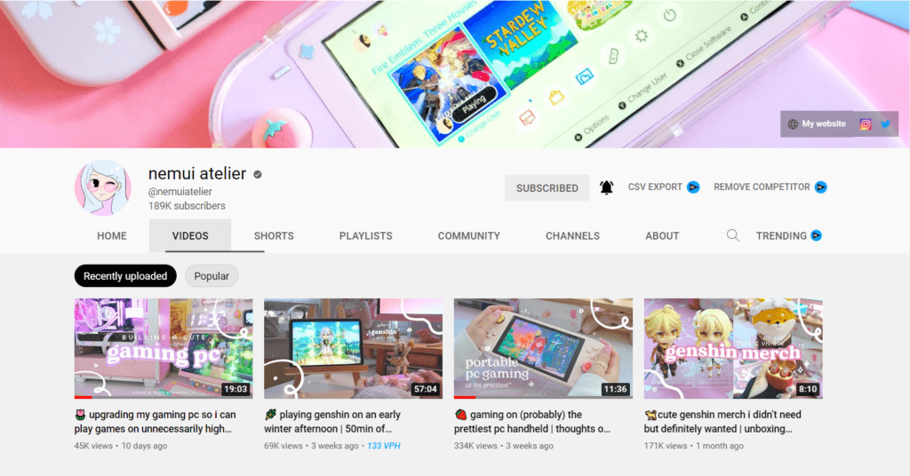 2022: The Year of the Cozy Gaming YouTuber! - HER COZY GAMING